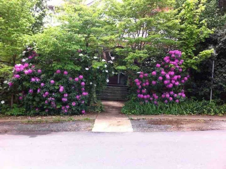 Country Garden Apartment Downtown - Charlottesville, VA