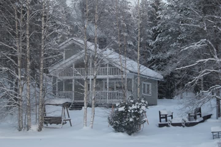 Villa Hyppykallio For 4+4 ,Free Wifi ,Saimaa Area - Juva