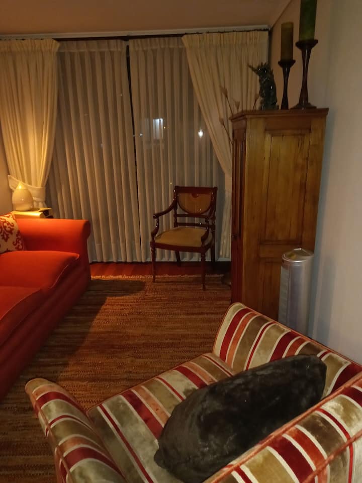 Hermoso Departamento Con Estacionamiento. - Santiago