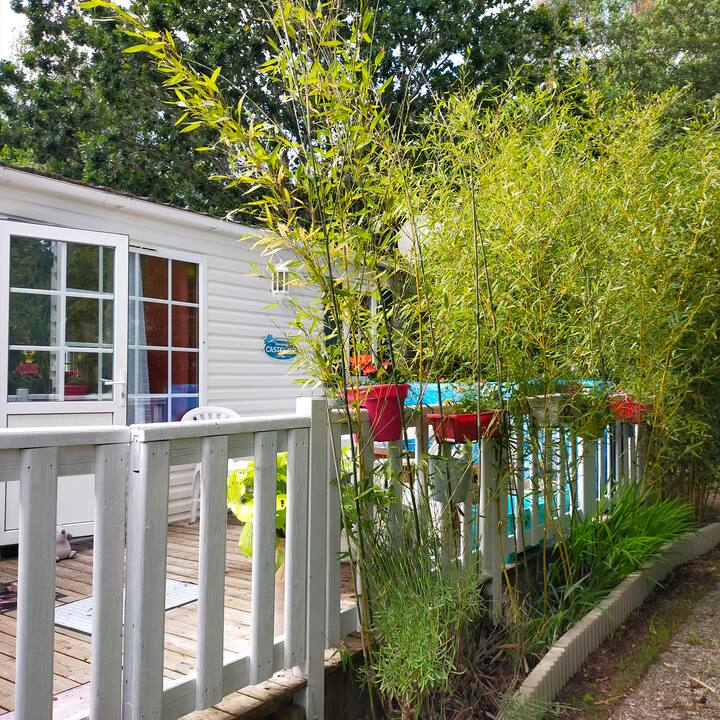 Mobil-home En Bretagne Dans Camping 4 Etoiles - Pont-Aven