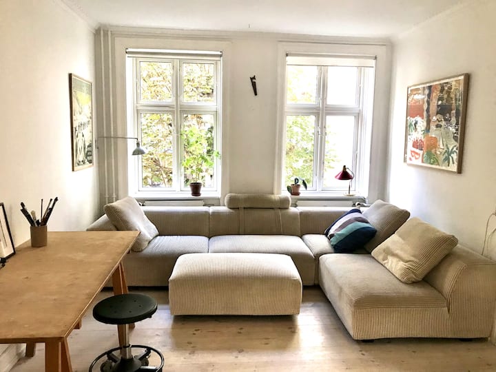 Spacious, Cosy And Central Apartment - Danemark