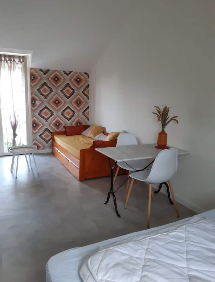 Studio Cosy Chez L'habitant - Angers - Angers