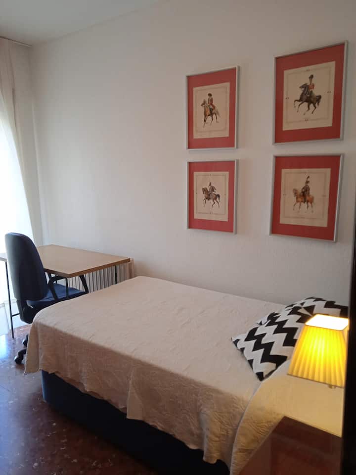 Habitación Luminosa En El Centro De Badajoz - Badajoz