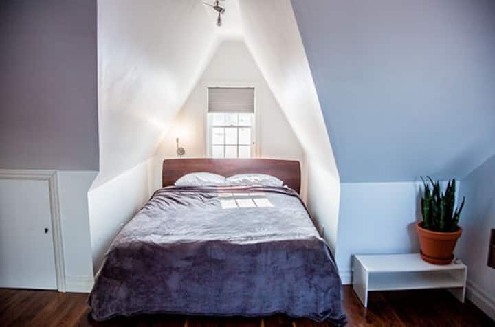 Modern Entire Floor In Trendy Queen/dundas West - Toronto