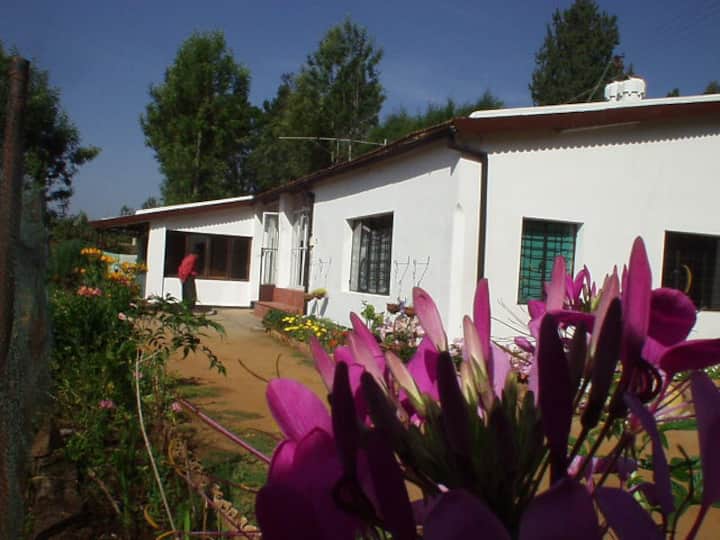 Catherine Falls, Kotagiri (2022) - Images, Timings | Holidify