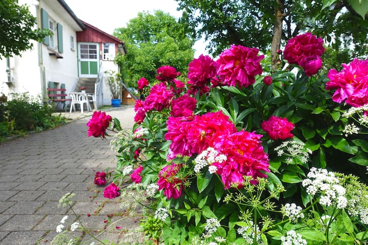 Ferienwohnung Lindau Im Landhaus "Heuried" - Lindau (Bodensee)
