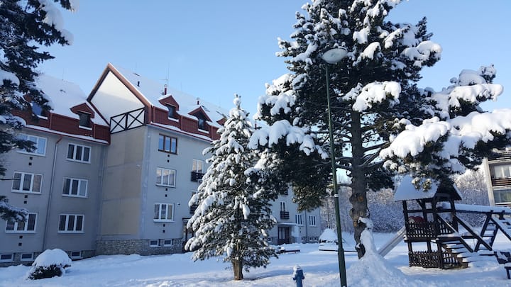 Charming 3 Bedroom Attic Flat In Tatry Mountains - Stary Smokowiec