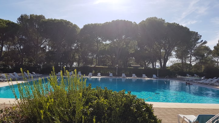 Studio 4 Pers Dans Résidence Avec Piscine - Saint-Raphaël