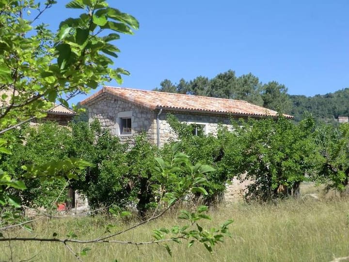 Gîte Le Brin D'osier - Largentière