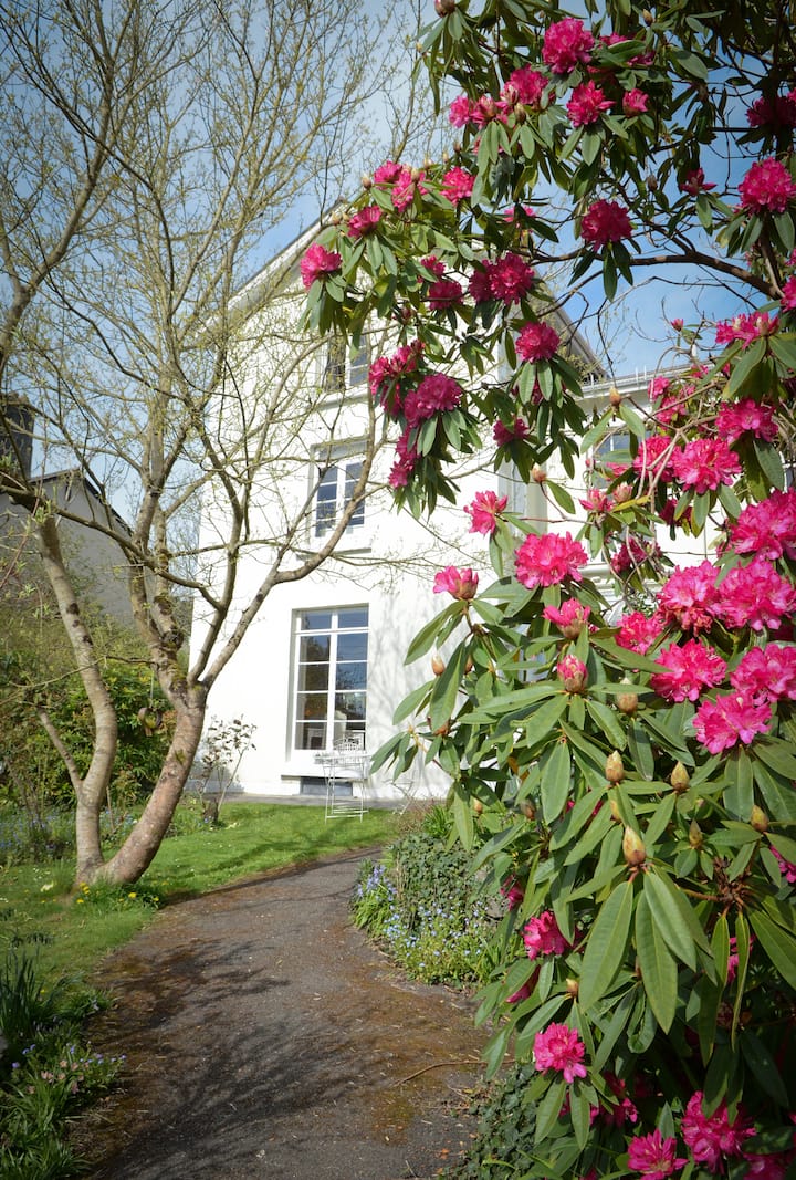 Grade Ii Victorian B&b - Tavistock