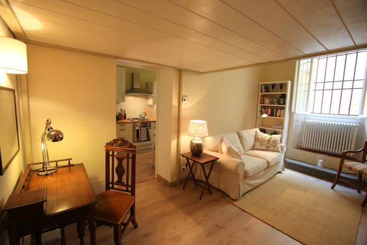 Romantic Oltrarno Garden Apartment - Firenze