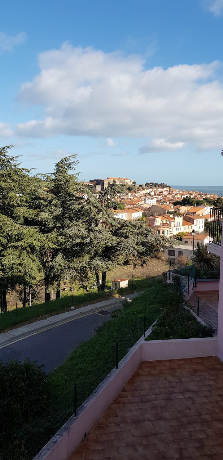 Appartement Clair Et Spacieux Proche De La Mer. - Collioure