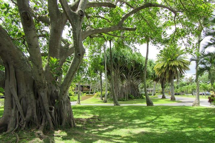 Perfect Location To Enjoy The North Shore Of Oahu - Laie, HI