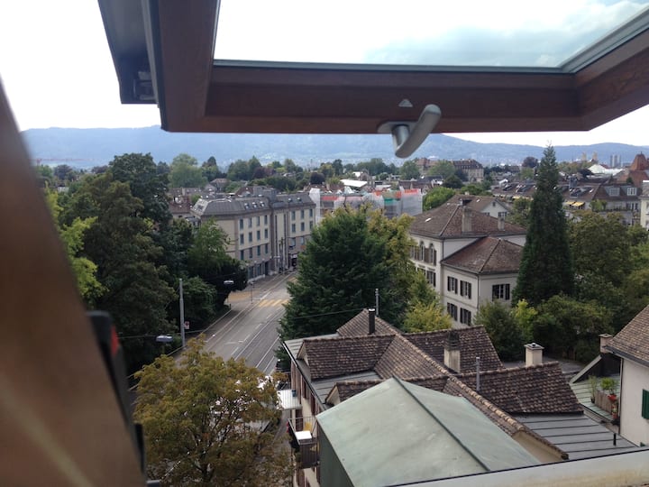 A5l - Zurichs Boutique Roof-studio With Terrace - Zúrich