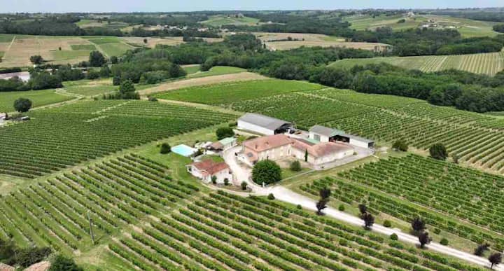 Aire De Camping-cars / Tente - Vignoble - Empl. 2 - Langon