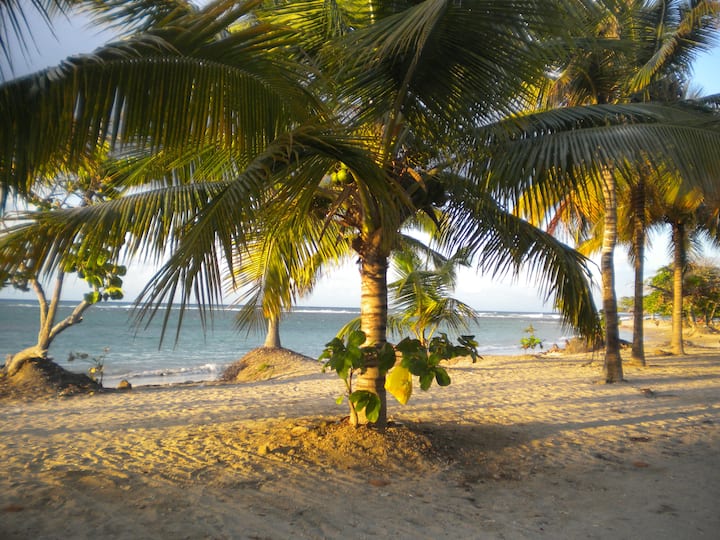 3 Br/3ba Apt Near Beach W/pool - Puerto Plata