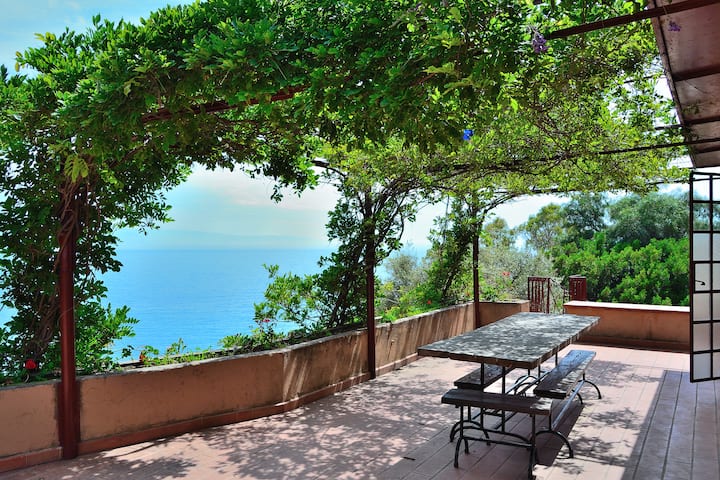 Art To Go On Vacation - Il Mandorlo - Calabre