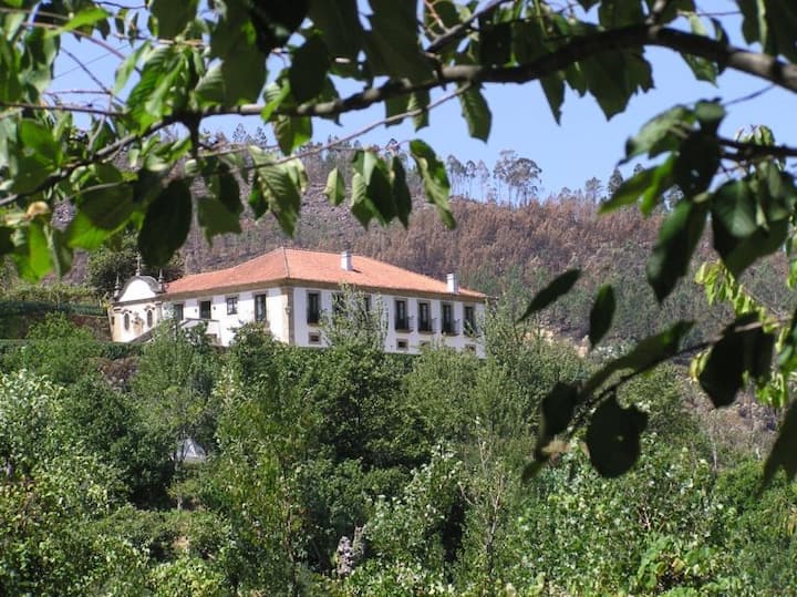 Apart. With 1 Or 2 Rooms In Douro - Cinfães