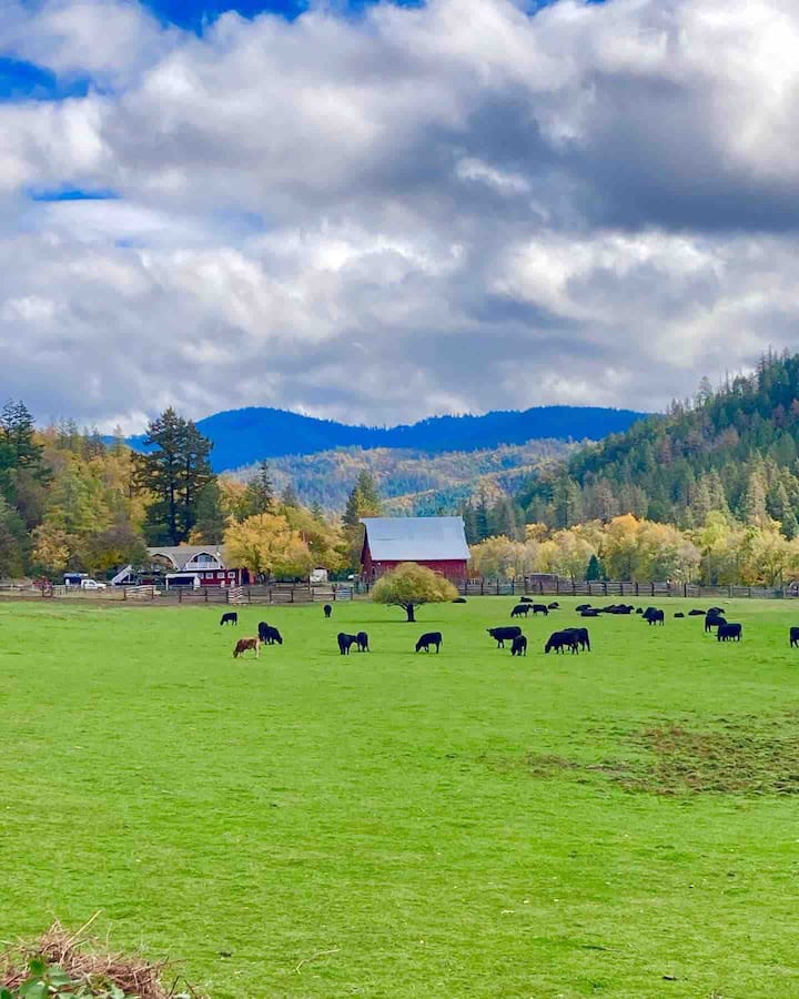 Circle G Bunkhouse On The Salant Family Ranch Wifi - Oregon