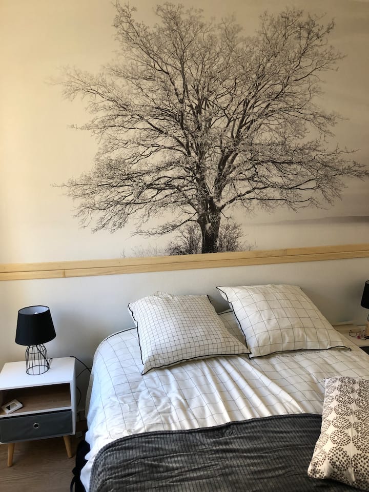 Appartement Cosy De90m2 Classé 4*
8-10 Pers Luchon - Bagnères-de-Luchon