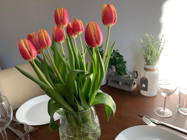 Stilvoll Wohnen - Köln - Phantasialand - Bonn - Brühl