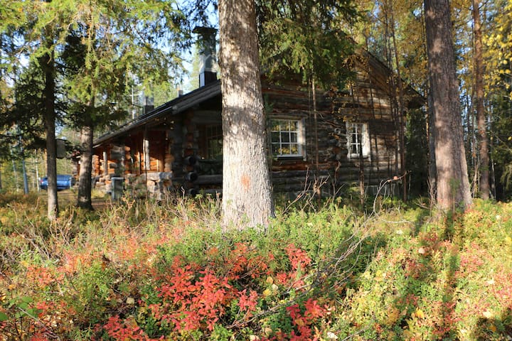Traditional Log Apartment, Lapland - Lappland