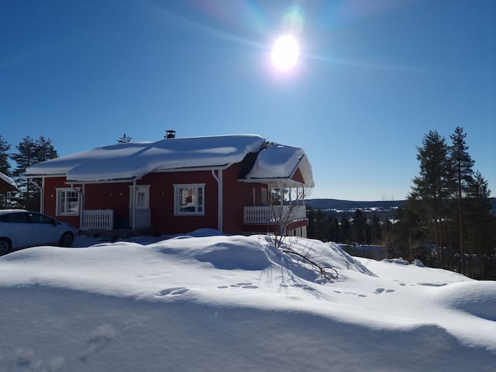 Laplandscape - Rovaniemi