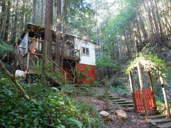 Russian River Vacation Rentals | Villa and House Rentals | Airbnb