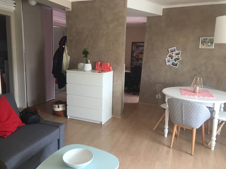 Appartement 3 Pièces (15 Min Centre Ville) - Strasbourg