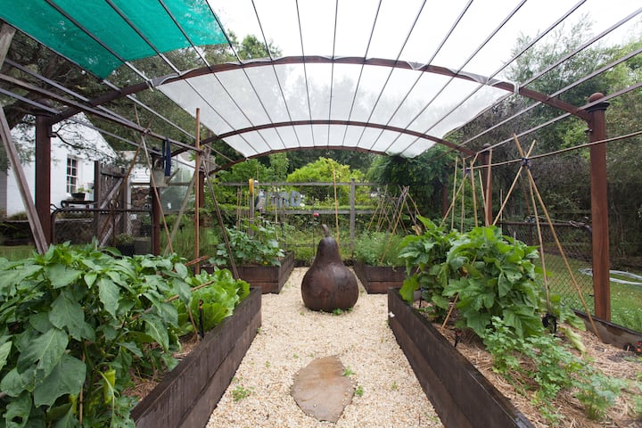 "Bluewaters" Mornington Penninsula. - Mornington