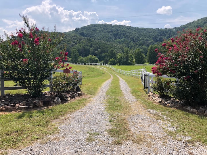 73 Acre Private Retreat, East Tn - Tellico Plains, TN