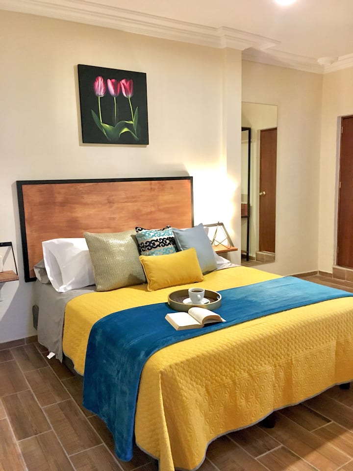 Casa Vivo/fast Wifi/centro Histórico/queen Size - Guanajuato