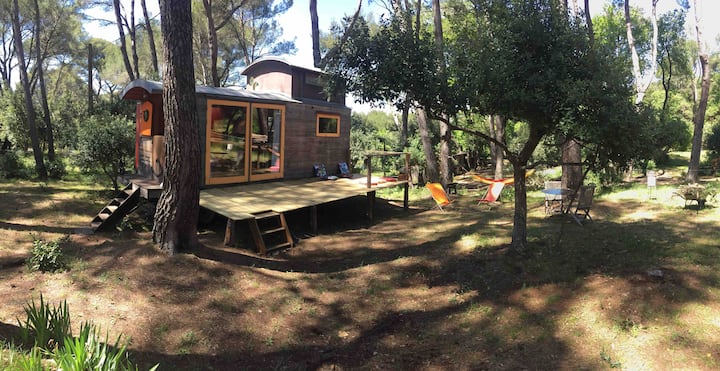 Roulotte De Charme Dans La Pinède Du Cap Sicié - Sanary-sur-Mer