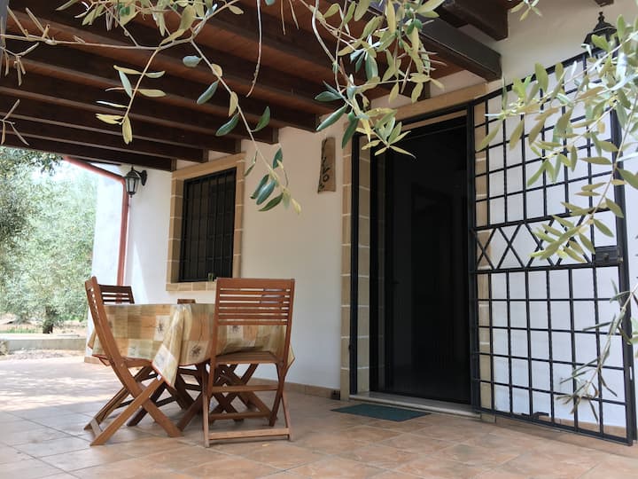 House Surrounded Olive Trees - Galatone