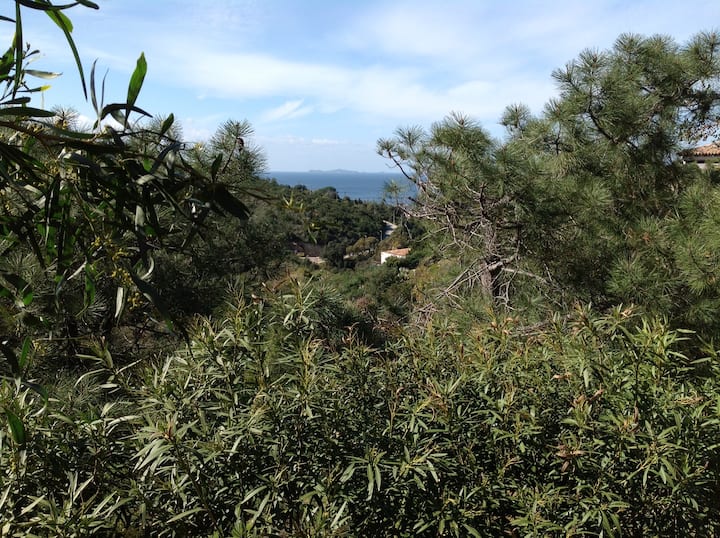 La Mer, La Soleil, Le Maquis A 5' - Coti-Chiavari