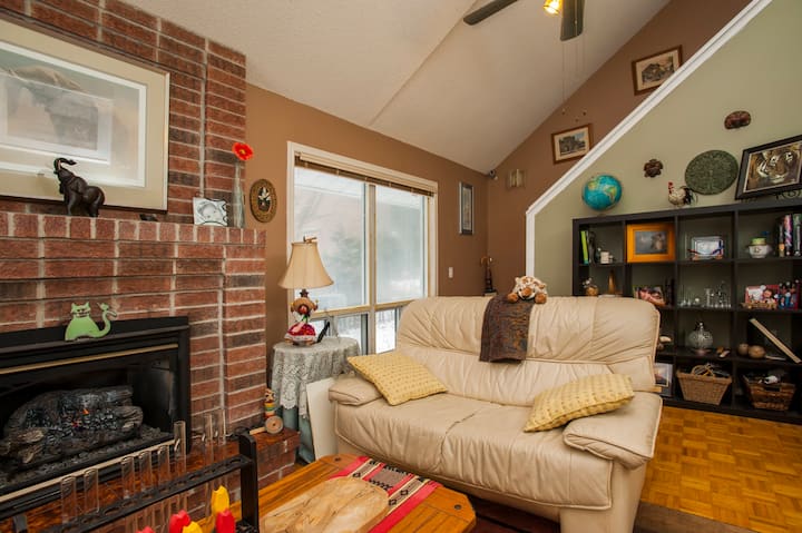 A Great Room For A Wonderful Person! - Toronto