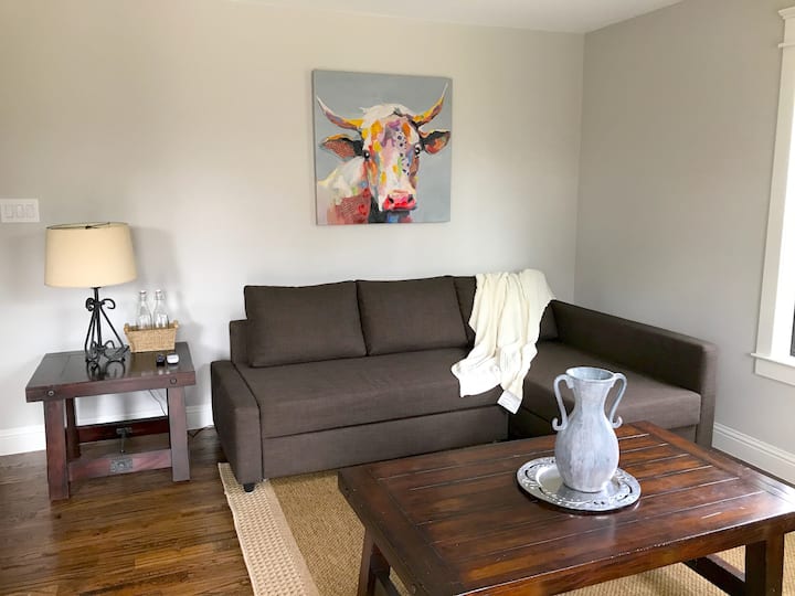 Cozy 2/2 Modern Farmhouse In Downtown Rockwall! - Rockwall, TX