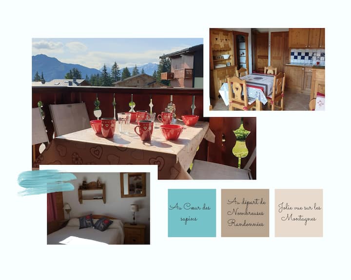 Apt Cosy, Au Cœur Des Sapins,
 Les Saisies - Hauteluce