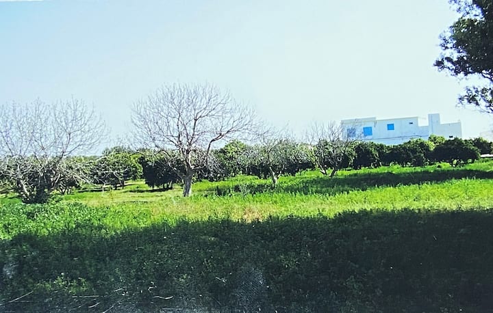 La Ferme Eddihi - Essaouira