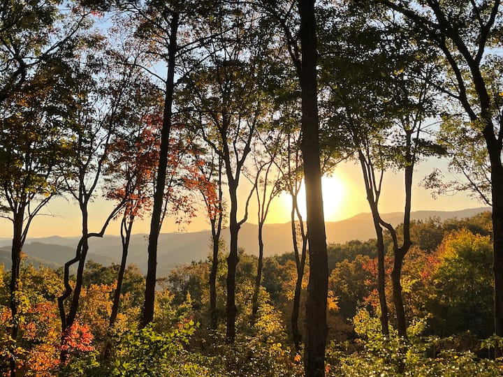 “Downing’s Den” - Georgia, GA
