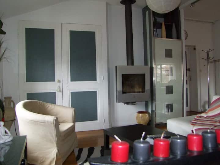 Petit Appartement Sous Les Toits - Champagne-au-Mont-d'Or