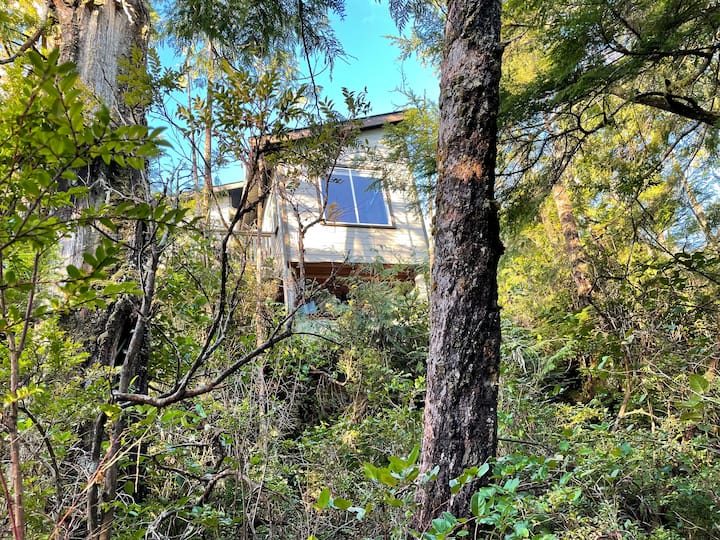 Brown's Beach Guest Suite (Cabin) - Ucluelet