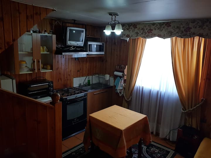 Hostal Felisa, Cabaña En El Centro De Valdivia - Valdivia