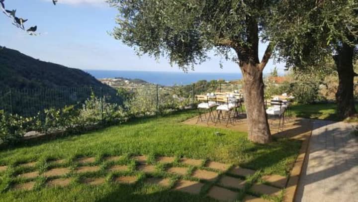 aurivu farm stay - fabulous suite - Farm stays for Rent in Vallebona ...