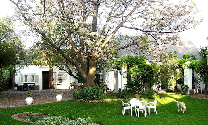 Little Green World Nr. 1 - Beaufort West