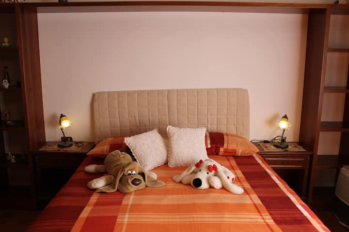 Patrick's House - Belluno