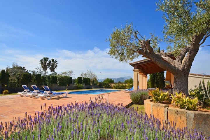 Villa Cati - Alcúdia