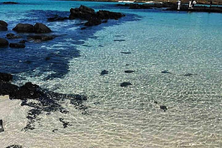 섭지코지해변 성산일출봉 방2거실2 화장실2 #바다 풍경# - Jeju