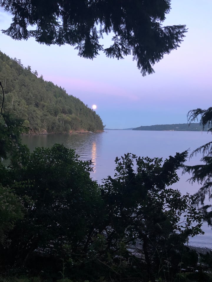 Oceanfront Green Cottage On Cowichan Bay - Duncan