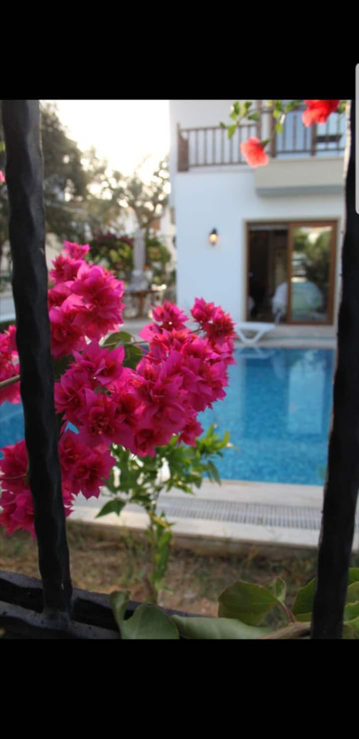 Datça Merkez 3 Odalı Havuzlu Müstakil Villa - 2 - Datça